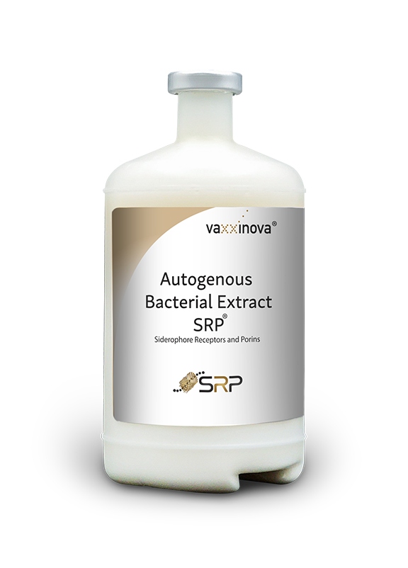 E COLI SRP - Vaxxinova
