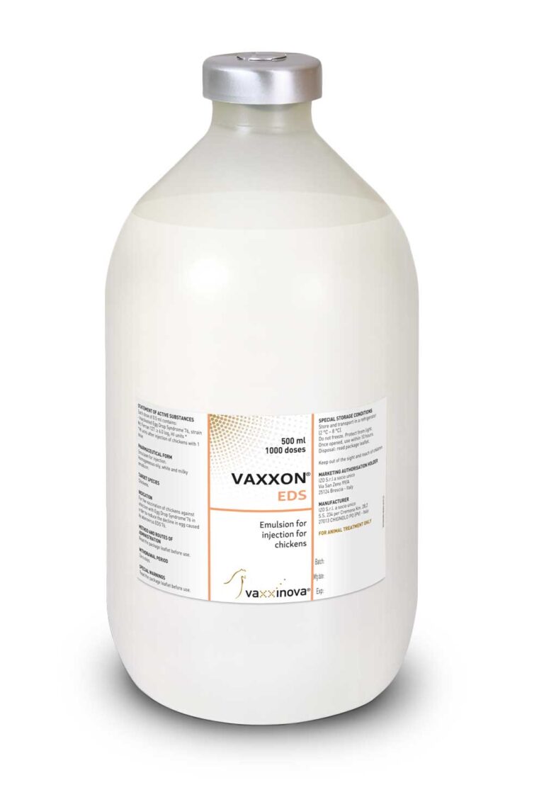 VAXXON EDS - Vaxxinova