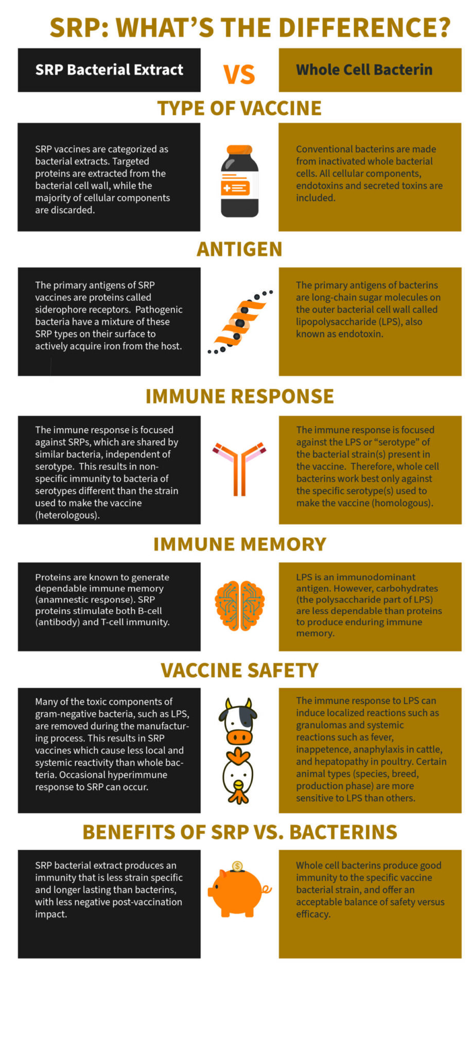 SRP TECHNOLOGY - Vaxxinova